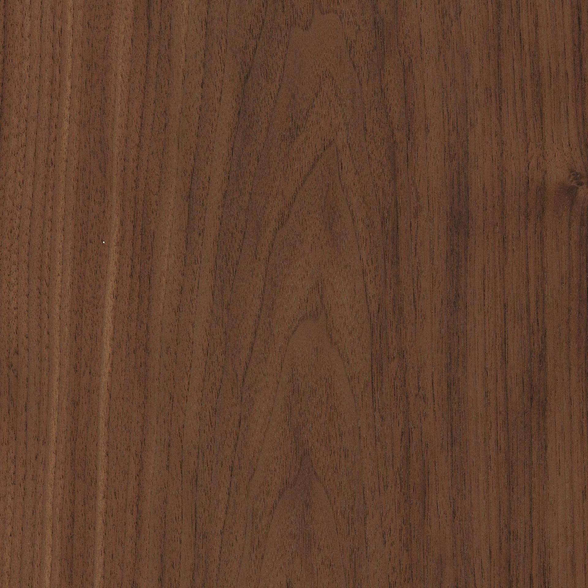 SoundPly | Alta Acoustic Ceiling Panels