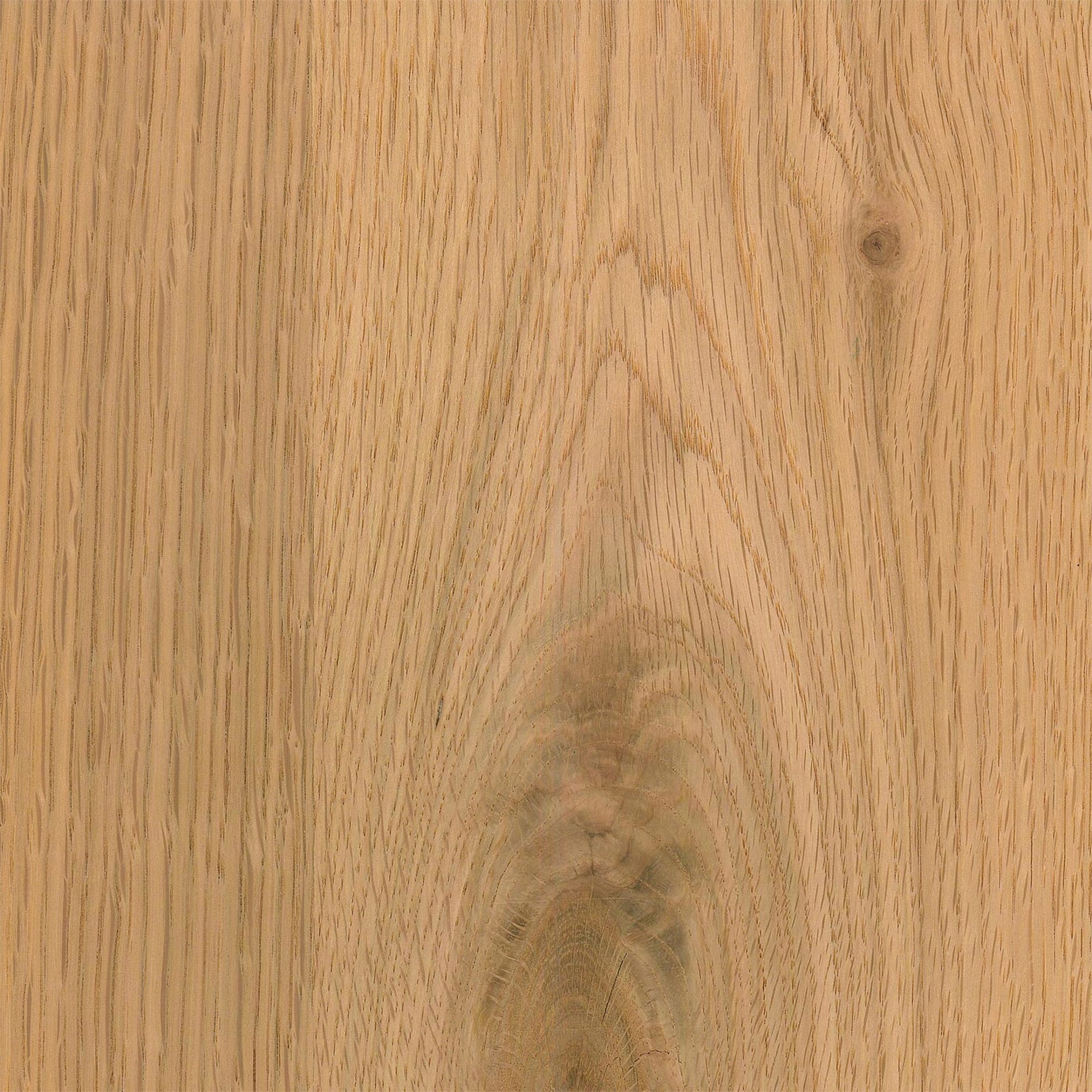 Alta Acoustic Ceiling Panels | Unrivaled Performance.